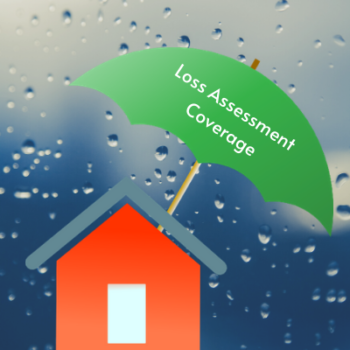 Hail Season and Water Leaks! Homeowners Check Your Loss Assessment ...