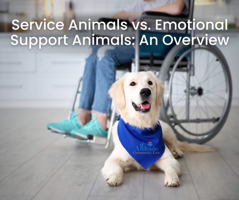 Service Animals vs. Emotional Support Animals: An Overview - Altitude ...