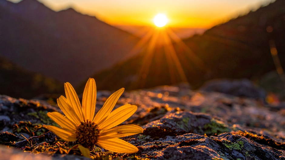 Life Lessons at the End of a Significant Chapter - Altitude Community Law